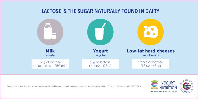 What is the function of lactose? - Yogurt in Nutrition