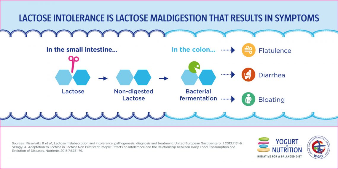 What is the lactose intolerance? - Yogurt in Nutrition