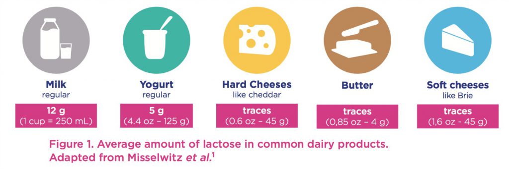 White book: Lactose as a nutrient - Yogurt in Nutrition
