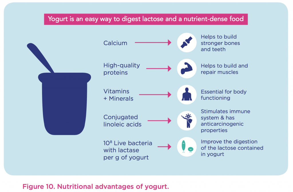 Los beneficios del yogur para la salud - Yogurt in Nutrition