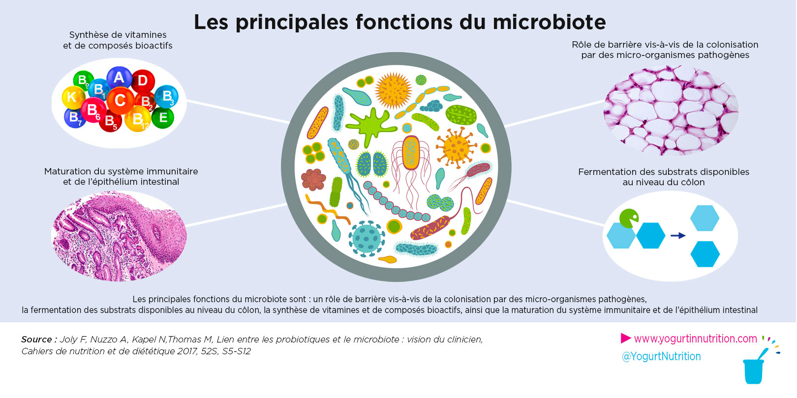 Quelles avancées scientifiques sur probiotiques et microbiote