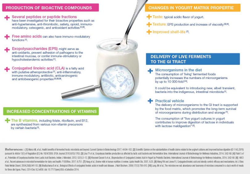 Fermented dairy matrix: do live bacteria have a role? - Yogurt in Nutrition