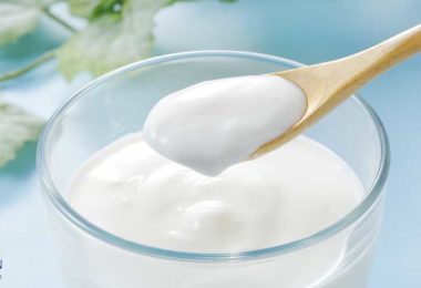 Dairy matrix: it's not just about nutrients - Yogurt in Nutrition