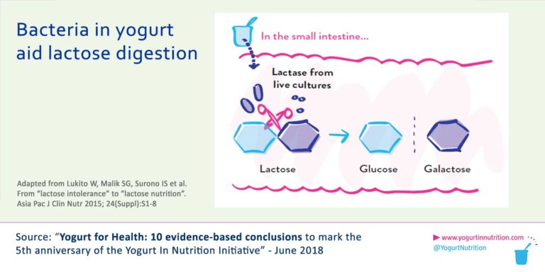 Choose yogurt for improved lactose digestion - Yogurt in Nutrition