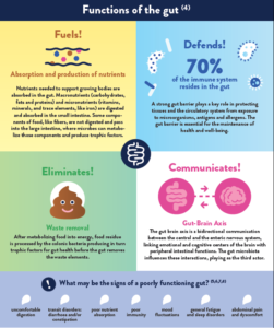 Children's gut health - Yogurt in Nutrition