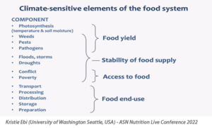 How climate change affects food system and nutrition? - Yogurt in Nutrition
