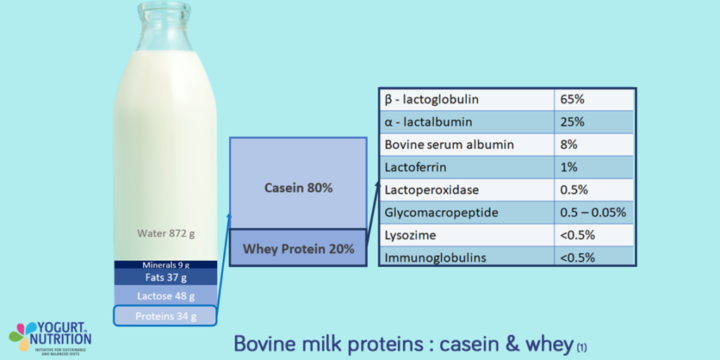 What is whey? - Yogurt in Nutrition