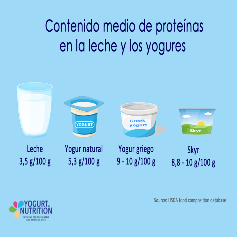 Analizando de cerca las proteínas - Yogurt in Nutrition