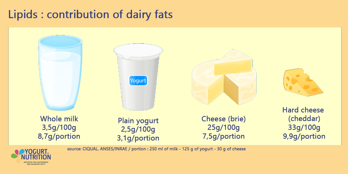 Focus on Dairy lipids - Yogurt in Nutrition