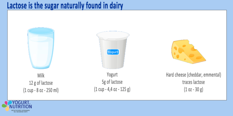Focus on carbohydrates and lactose - Yogurt in Nutrition