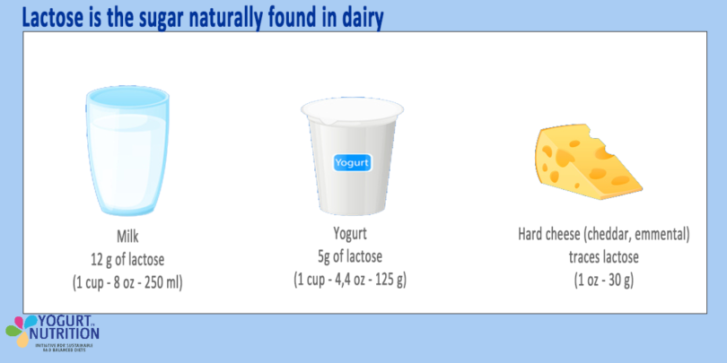 Focus on carbohydrates and lactose - Yogurt in Nutrition