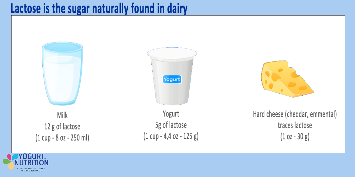 Focus on carbohydrates and lactose - Yogurt in Nutrition