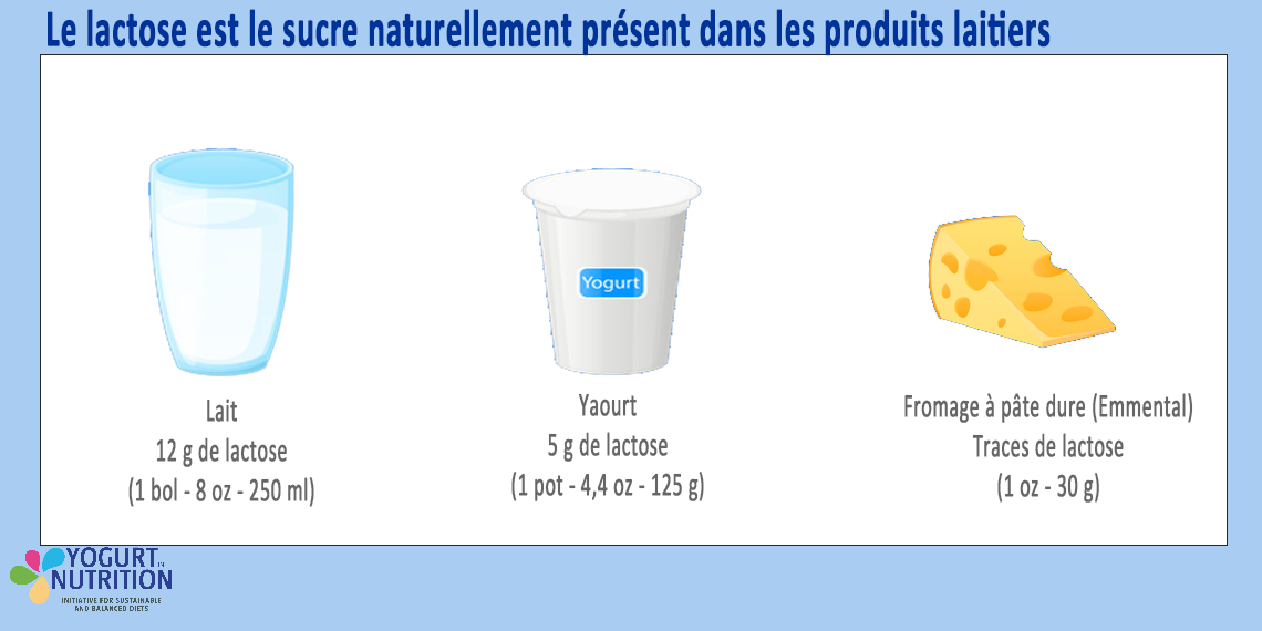 Focus sur les glucides et le lactose - Yogurt in Nutrition