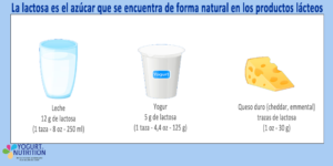 Los hidratos de carbono y la lactosa al detalle - Yogurt in Nutrition