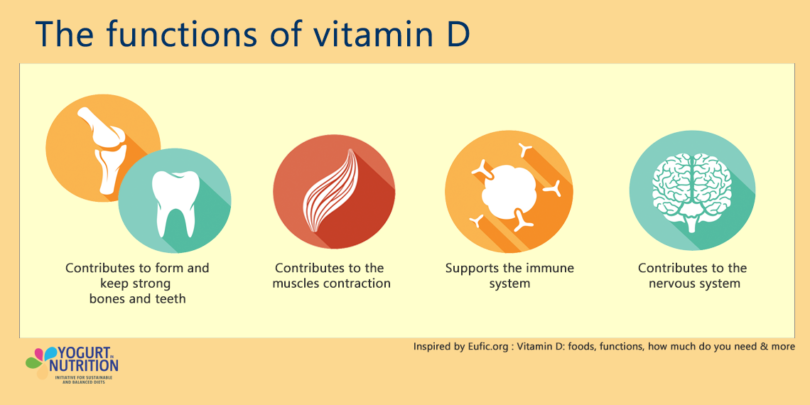 Focus on vitamin D - Yogurt in Nutrition