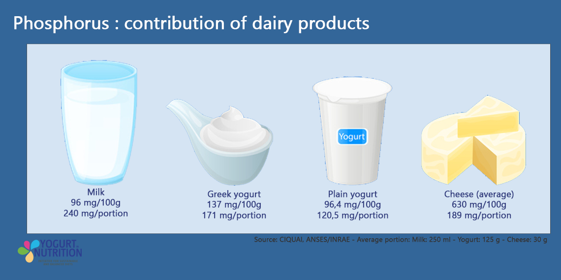 Focus on Phosphorus - Yogurt in Nutrition